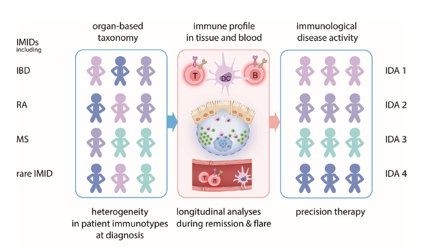 ImmuneHealthSeed for well-balanced immunity | Health~Holland