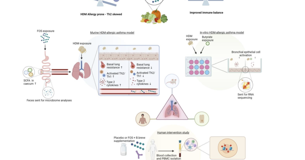 Benefits of fermentable fructo-oligosaccharides as dietary fibre in ...